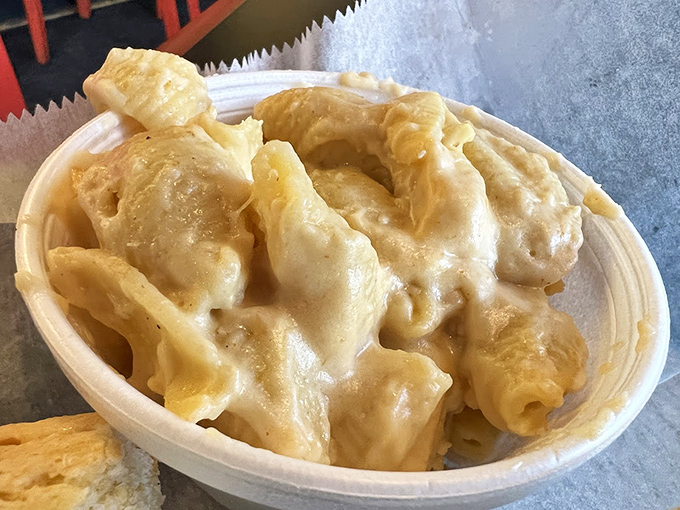 This isn't just mac and cheese; it's a golden pool of comfort where pasta tubes float blissfully, waiting to transport you back to childhood—only better.