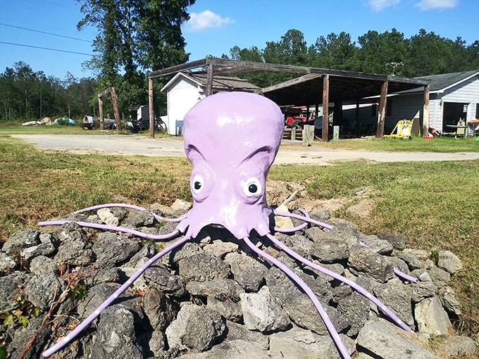 This lavender octopus seems surprised to find itself in rural North Carolina. Eight tentacles, two googly eyes, and endless charm atop its rocky perch.