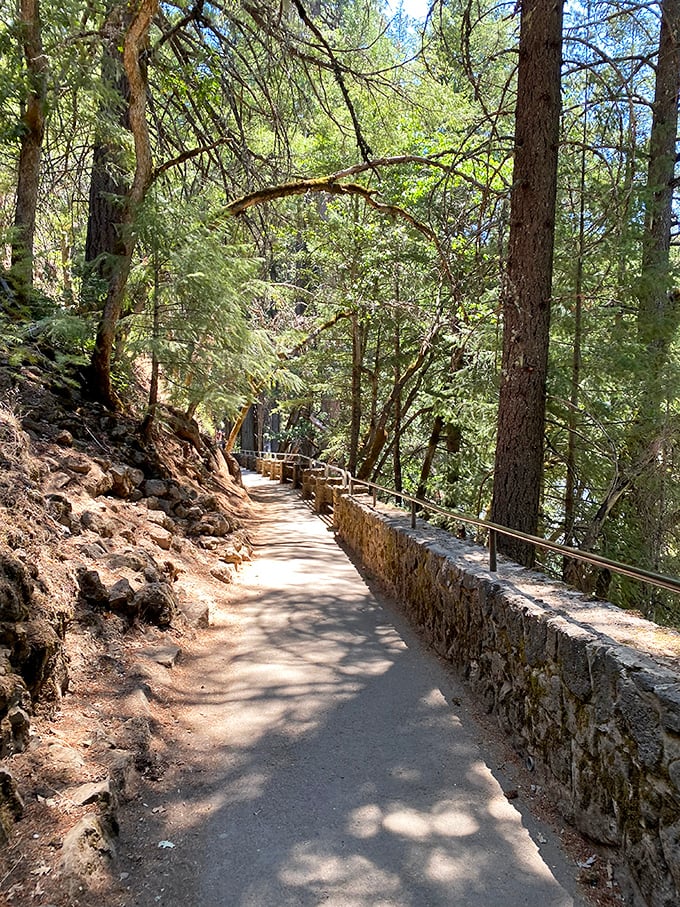 The path to waterfall nirvana – paved, accessible, and flanked by ancient pines that have been standing guard for centuries.