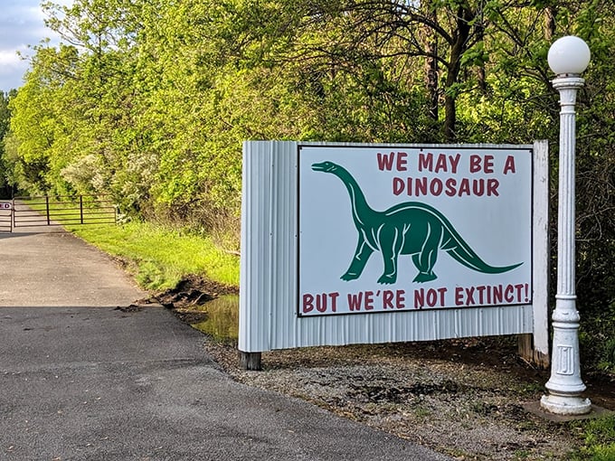 "We may be a dinosaur but we're not extinct!" proclaims this delightful sign. A perfect blend of self-awareness and stubborn determination to survive.