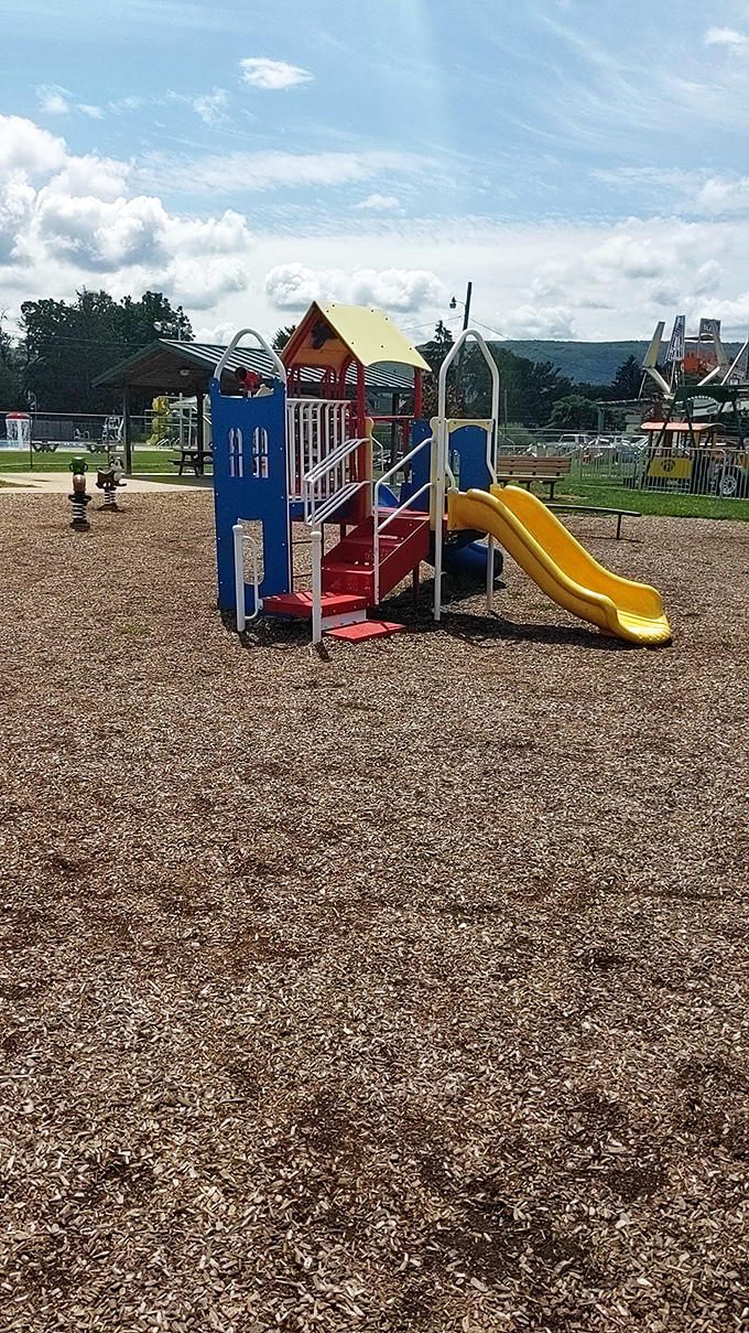 This playground might not have the latest digital bells and whistles, but it offers something priceless—a place where kids still play outside without needing Wi-Fi.