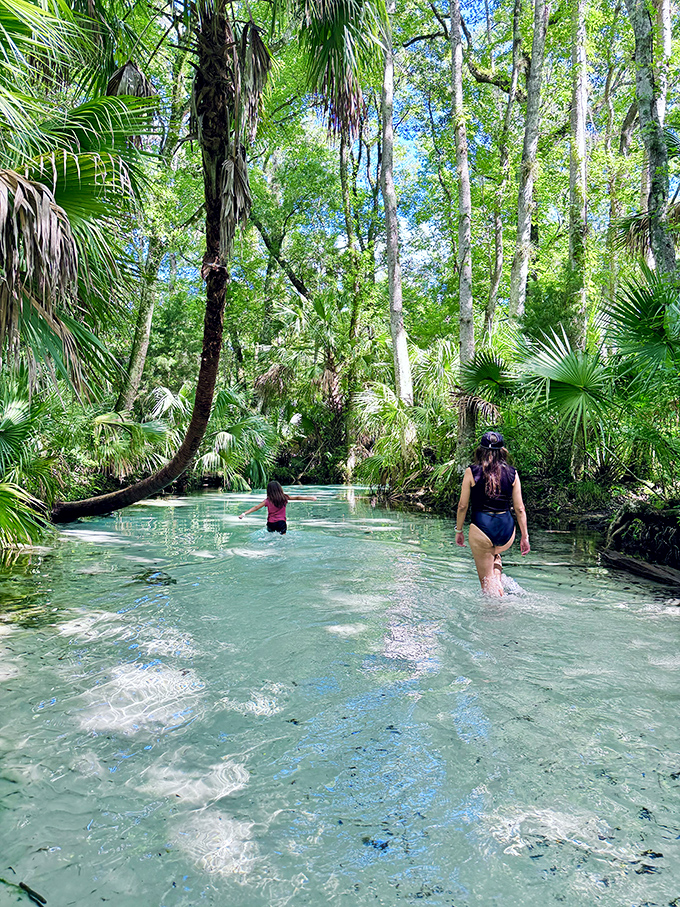 Crystal-clear waters invite swimmers into what feels like nature's most exclusive private club.