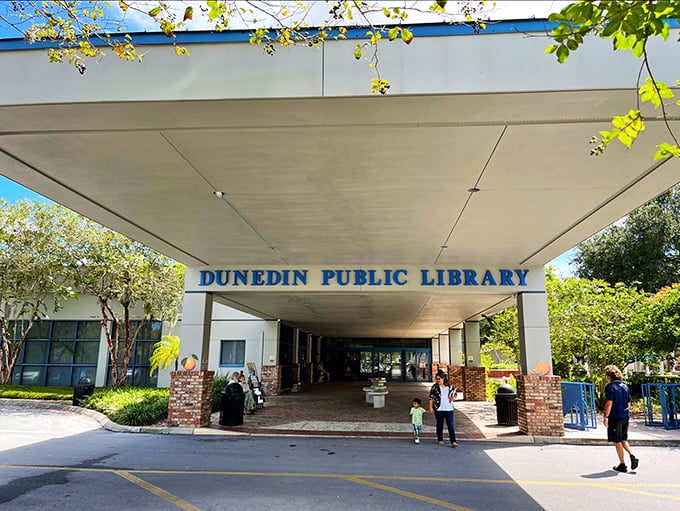 The Dunedin Public Library—where locals come for books but stay for the air conditioning and the whispered gossip in the Florida history section.