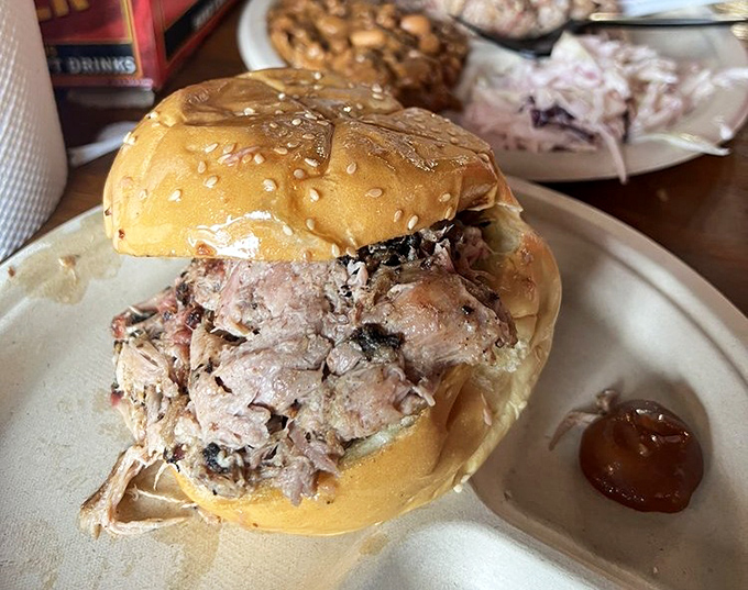 The humble sesame bun struggles valiantly to contain a mountain of pulled pork—a delicious David and Goliath story where everyone wins.