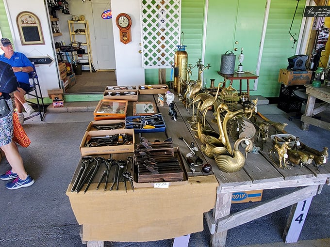 Knives, tools and brass treasures await the discerning eye – one person's garage clutter transformed into another's prized collection.