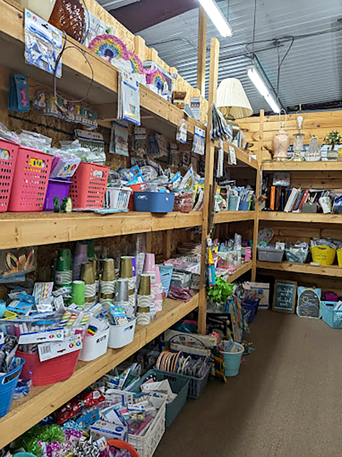 The craft supply section could inspire Martha Stewart herself – organized chaos for the creatively inclined.