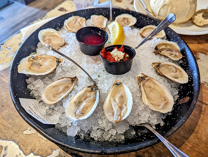 These oysters are arranged like Nature's perfect appetizer—briny gems on a bed of ice, awaiting a squeeze of lemon and a moment of appreciation.
