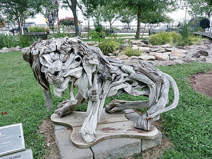 This driftwood sculpture captures the spirit of North Beach – naturally beautiful, a little weathered, and completely comfortable in its own skin.