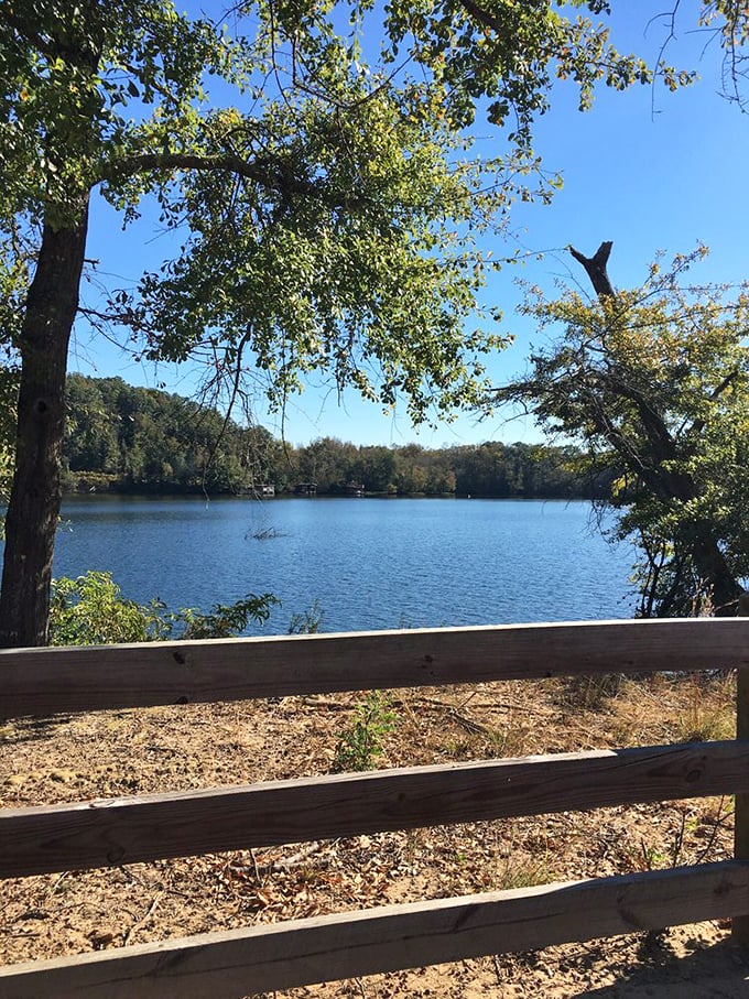 Lake Tillery's serene waters reflect the surrounding forest like nature's own Instagram filter. No hashtags required for this view.
