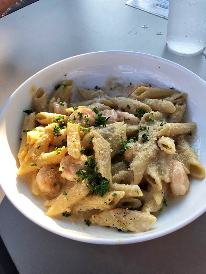 Pasta meets the sea in this creamy shrimp dish – comfort food that somehow feels right at home in the Florida heat.