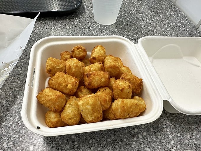 Golden, crispy tater tots that crackle with each bite—the unsung heroes of any proper burger feast, waiting patiently for their moment of glory.