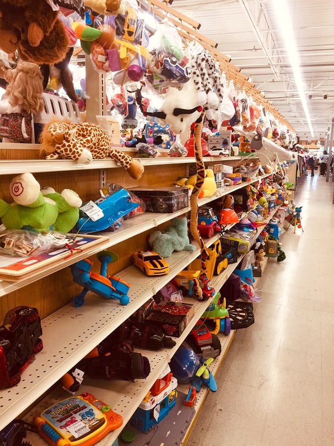 The toy aisle: where stuffed giraffes and plastic dinosaurs wait patiently for second chances at childhood adventures. Nostalgia sold separately!