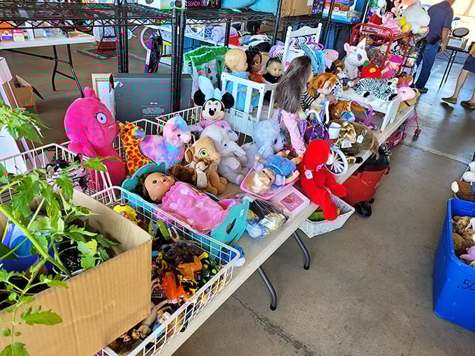 Stuffed animals waiting for second chances—each plush friend hoping to be the next cherished companion in a child's growing collection of memories.