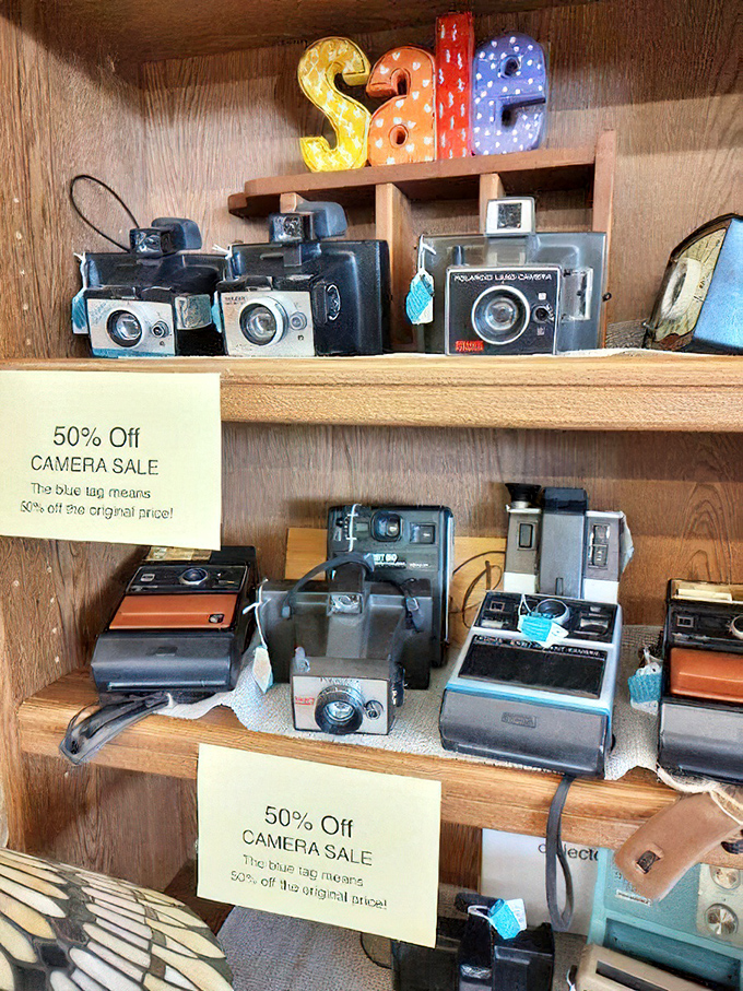 Before smartphones made everyone a photographer, these mechanical marvels captured first steps, wedding days, and embarrassing haircuts with character and charm.