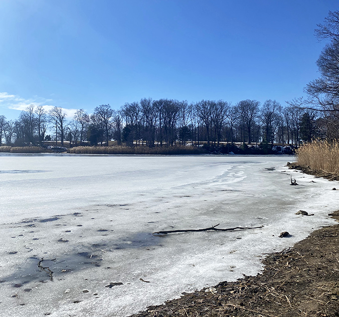 Winter transforms Rocky Point into a monochromatic masterpiece where frozen waters hold summer memories in suspended animation.