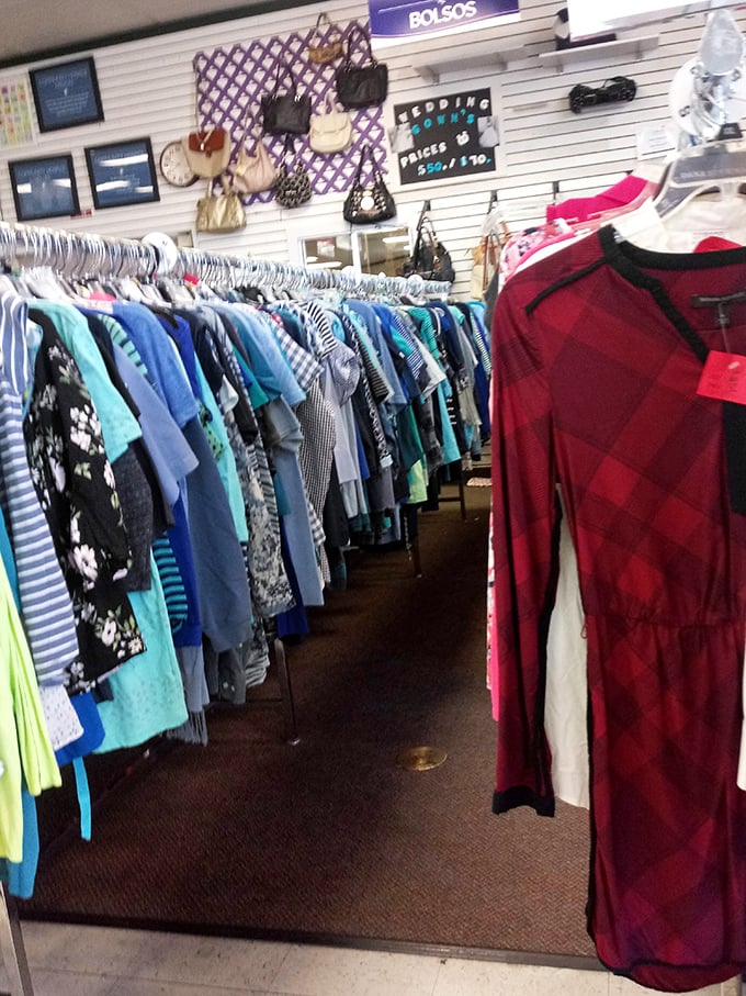 Women's fashion with personality—where that designer label occasionally peeks out, causing the little thrill dedicated thrifters live for.