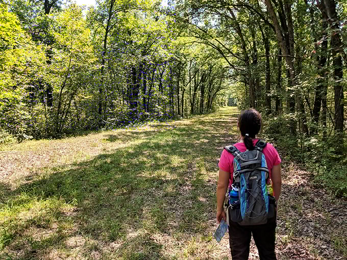 Walking these trails feels like stepping into a storybook forest. Just don't expect singing woodland creatures—they're union and demand scale.