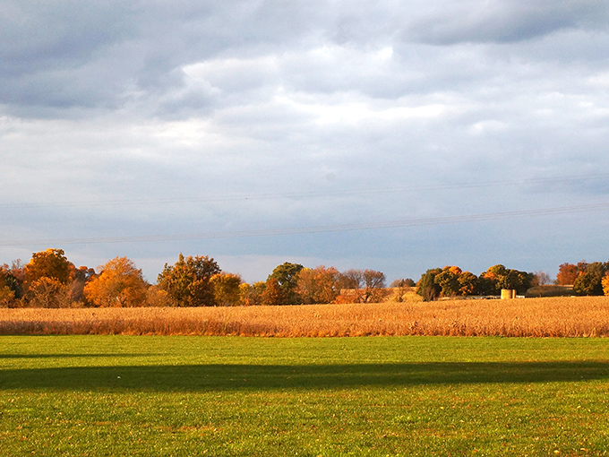 Autumn in Ohio's Amish Country—where the corn turns golden and the pace of life remains deliciously unhurried.
