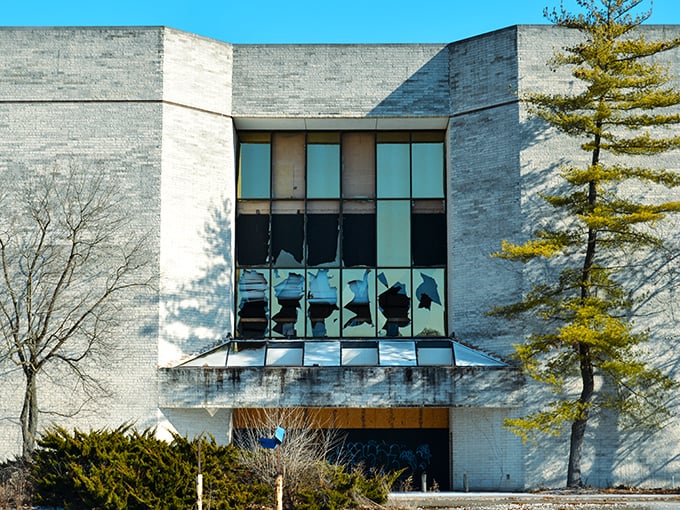 Contemporary design meets suburban comfort in this architectural gem that surprises visitors.