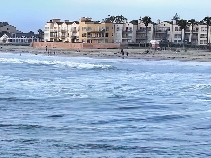 Imperial Beach: Oceanfront condos line the shore where lucky residents fall asleep to the soundtrack of crashing waves every night.