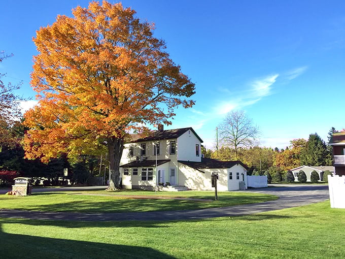 Beneath a blazing maple, Ludington’s historic charm glows even brighter in the golden light of Michigan autumn.