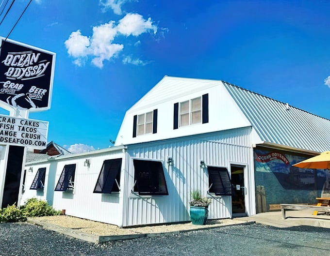 Ocean Odyssey: White siding, metal roof, and a sign promising seafood adventures – this roadside gem is worth every mile of the journey.