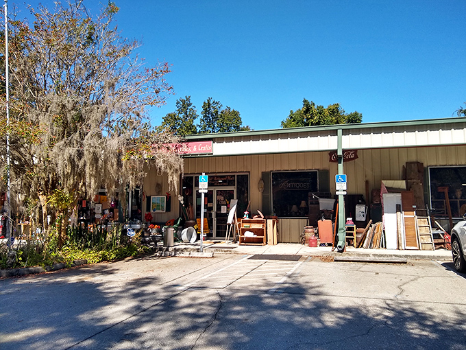 Under the Spanish moss, Sugar Bear Antiques offers a rustic treasure hunt away from Florida's beaches.