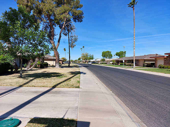 Picture-perfect retirement awaits in Sun City, where affordable homes and community amenities create the ideal fixed-income lifestyle.