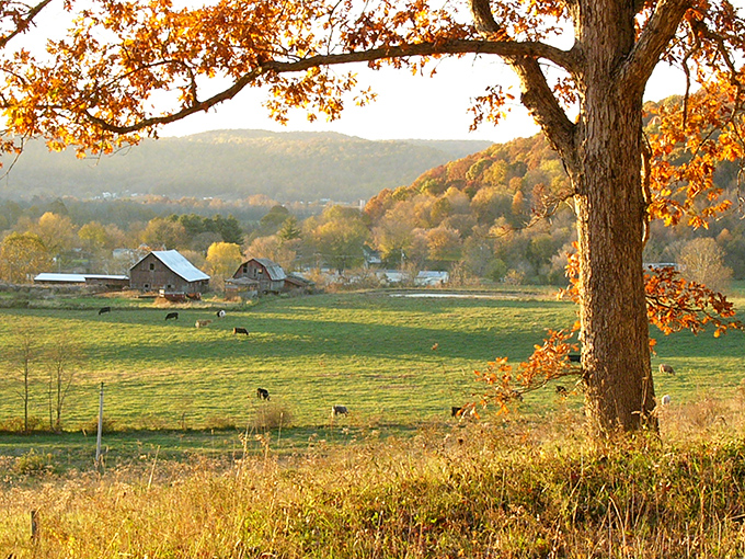 Red barn, green fields, and endless sky. Apple Creek's countryside looks like it was painted by an artist with a very steady hand.