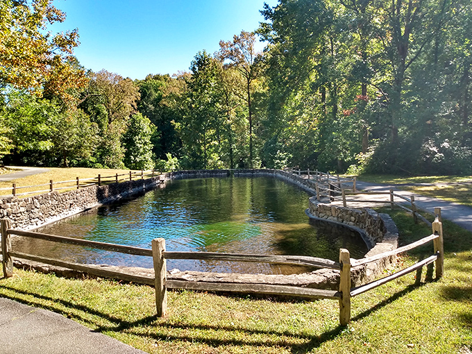 Jones Gap State Park: This crystal-clear mountain pool looks cold enough to make you gasp but inviting enough to make you jump anyway.