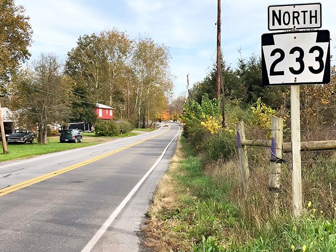Fall colors frame Route 233 like nature's art gallery. This is the kind of road that makes you forget you have a destination.