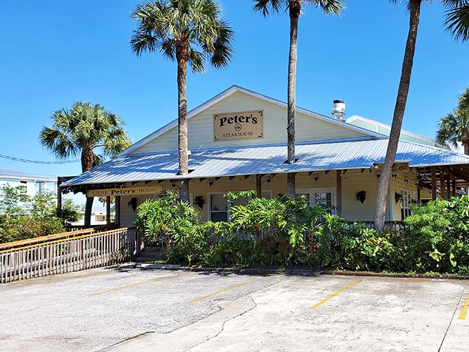 Old Florida charm meets serious steak skills at Peter's. That metal roof has sheltered countless happy diners through tropical downpours.