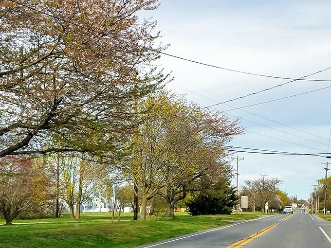 Historic small-town America lives on in Smyrna, where your Social Security goes the extra mile.