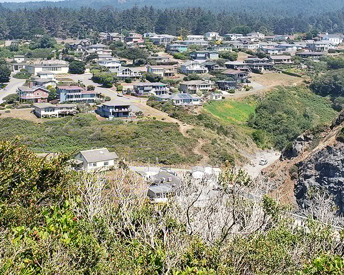 This tiny village combines rugged coastline beauty with small-town charm that feels authentically Californian. 
