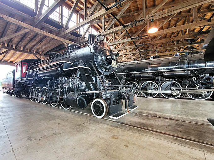 These magnificent steam locomotives aren't just museum pieces – they're time machines that transport visitors back to an era when travel was an event, not just transportation. 