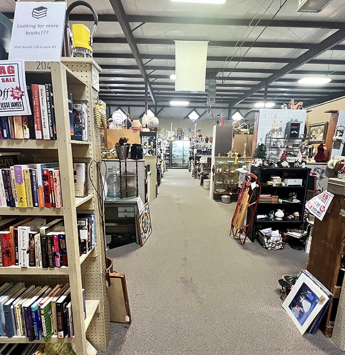 Books and vintage treasures create a literary canyon of possibilities—where the next great find might be hiding just around the corner.