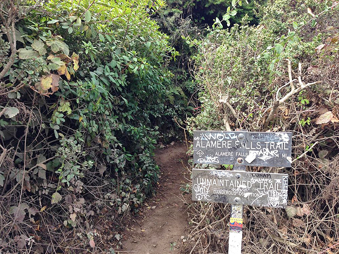 The sign that separates casual strollers from determined waterfall-seekers. Consider it nature's version of "you must be this adventurous to proceed."