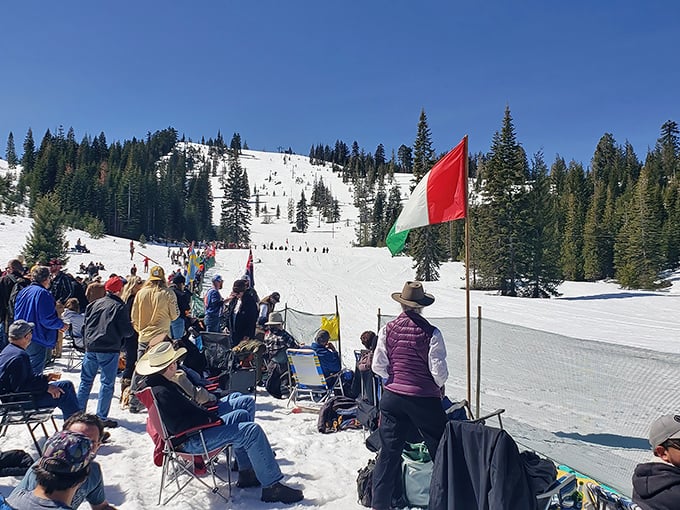 Winter transforms the landscape into a snow sports paradise. The unofficial motto: "Come for the powder, stay for the spectacular views."