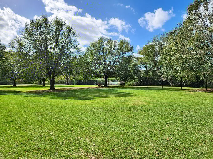 Wide open spaces and mature shade trees create the perfect setting for afternoon strolls or morning meditation – nature's therapy session, Bartow-style.