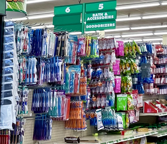 Toothbrushes in every color of the rainbow—because adulting means buying your own dental supplies, but nobody said they can't be fun.
