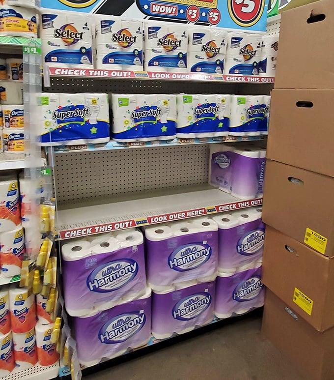 The toilet paper aisle—where smart shoppers know that some necessities don't need designer labels or premium pricing.
