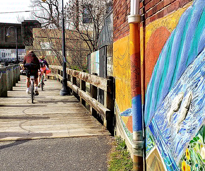 Vibrant murals line the canal path, turning a simple bike ride into an outdoor gallery experience. Art and exercise merge in true Manayunk fashion.