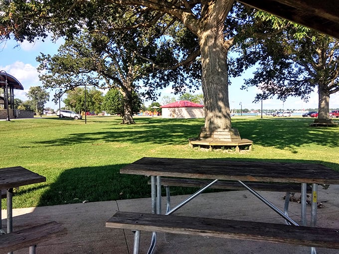Peaceful park moments where fishing poles and four-legged friends create perfect afternoon harmony.