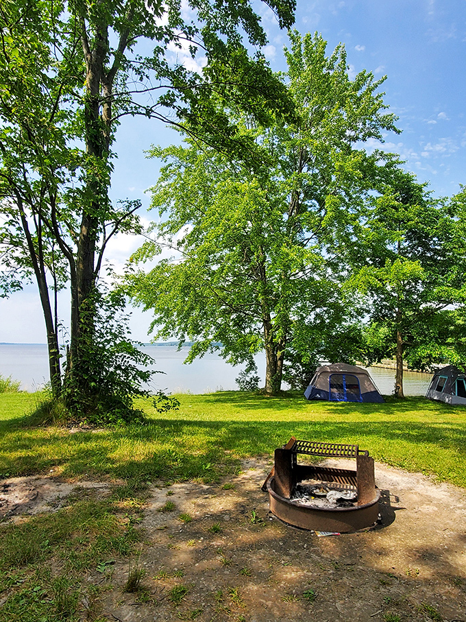 Camping perfection: A fire pit for s'mores engineering, trees for shade, and lake views that make you forget passwords, deadlines, and Monday meetings.