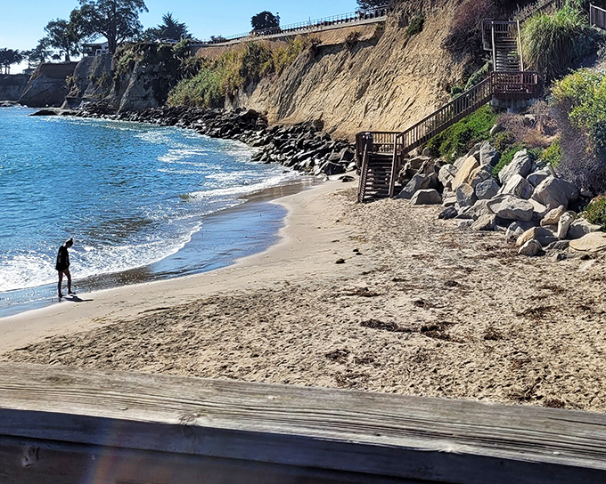 Dramatic cliffs frame this secluded stretch of beach, offering a quieter alternative to Capitola's main shoreline.