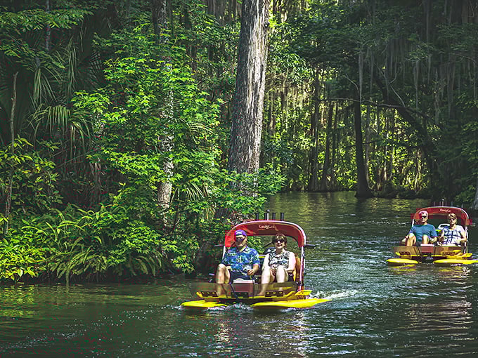 Gliding through "the most beautiful mile of water in Florida" on catboats—like jet skis for people who prefer nature over adrenaline.