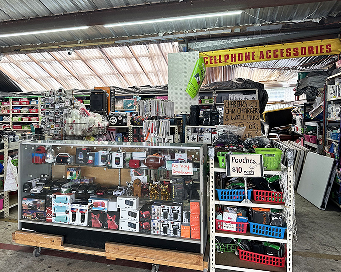 Modern bazaar meets tech oasis—where phone accessories multiply faster than your battery drains during vacation photo sessions.