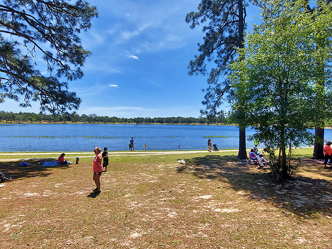 Chipley Park offers the kind of simple lakeside pleasures that remind you why you don't need a theme park to have a perfect Florida day.