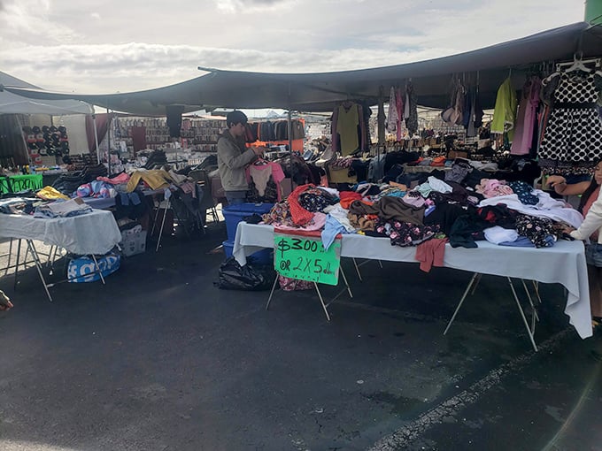 "Two for $5" clothing deals transform fashion emergencies into fashion opportunities, where vintage finds wait among modern basics.