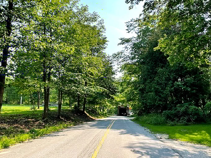 The road less traveled leads to the greatest discoveries—this tree-lined approach to Fallasburg Bridge builds anticipation for the historic treasure ahead.